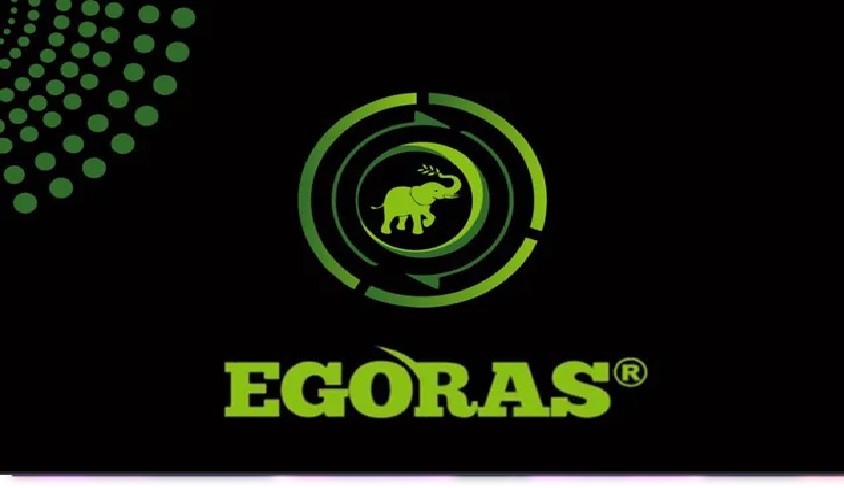 Tekedia Capital Congratulates Egoras for Blockchain-powered Egoras TV ...