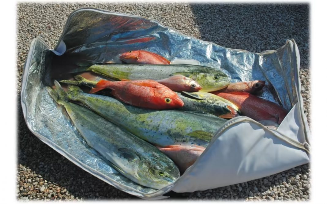 How to Choose the Best Fish Kill Bag for Your Next Fishing Adventure ...