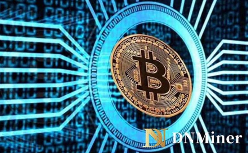 The era of cloud mining has arrived. DNMiner helps investors achieve their wealth appreciation ...